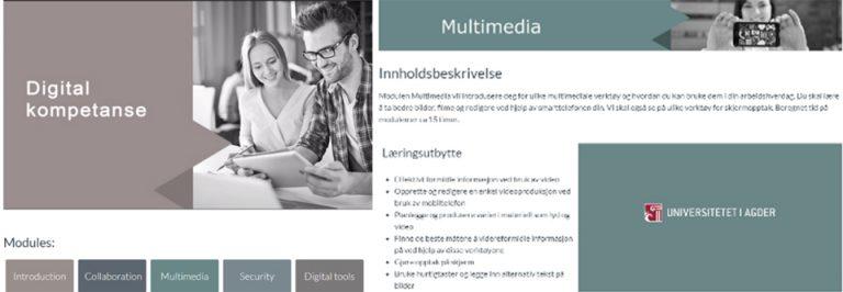 Digital Competence – Providing Tools to Create an Inclusive eLearning ...