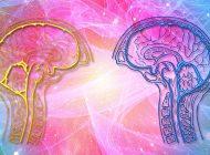 Sociocultural Conception of Man - HAMK UnlimitedHAMK Unlimited
